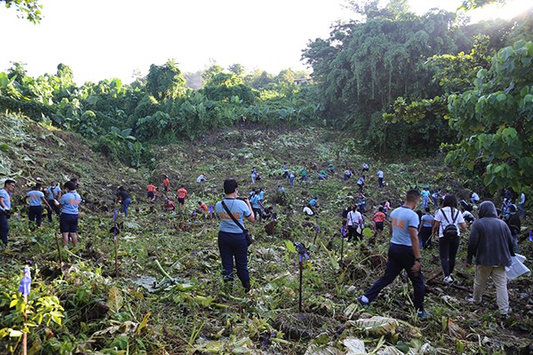 Biological Preservation | Coral Bay Nickel Corporation