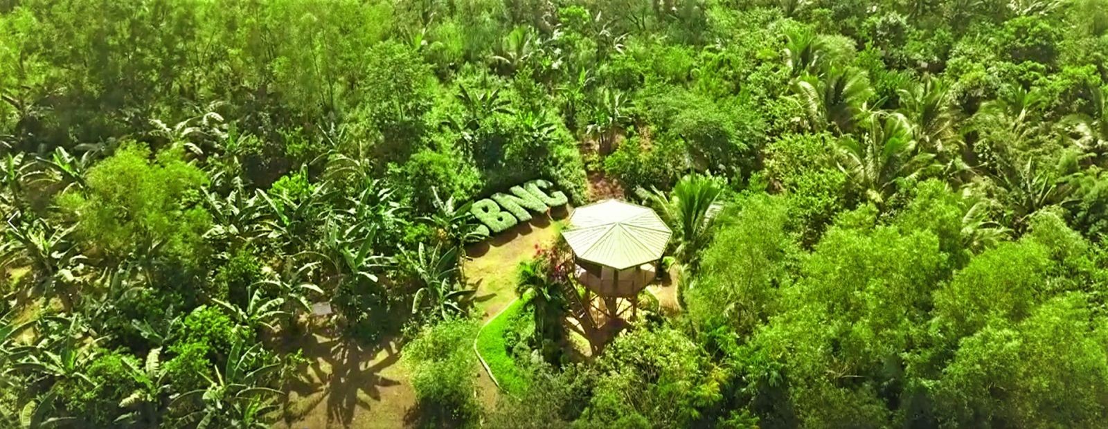 Monitoring and Rehabilitation | Coral Bay Nickel Corporation